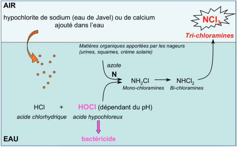 GVM - Trichloramine et piscines intérieures